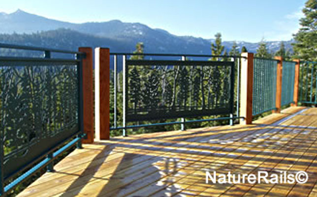 Metal Porch Railing Designs - NatureRails.com